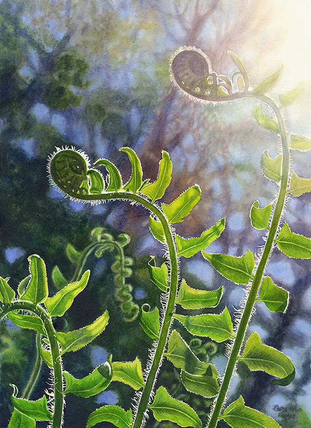 Ferns Watercolor Painting Print by Cathy Hillegas, 8x10 Vertical ...