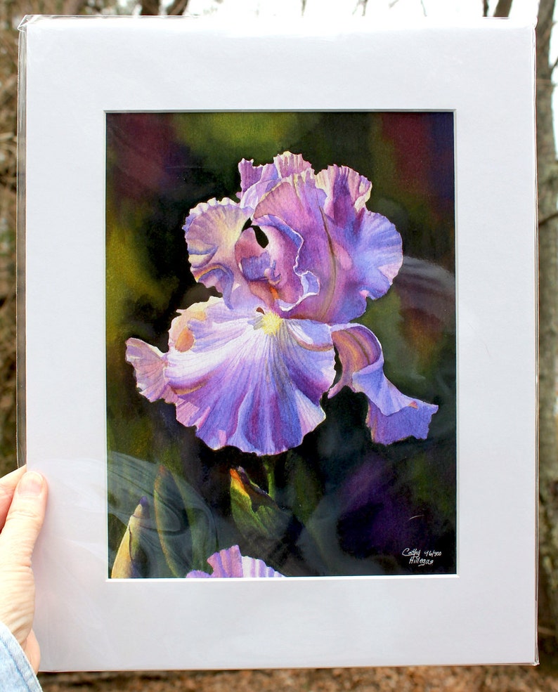 Purple Iris Art Watercolor Painting Print by Cathy Hillegas | Etsy