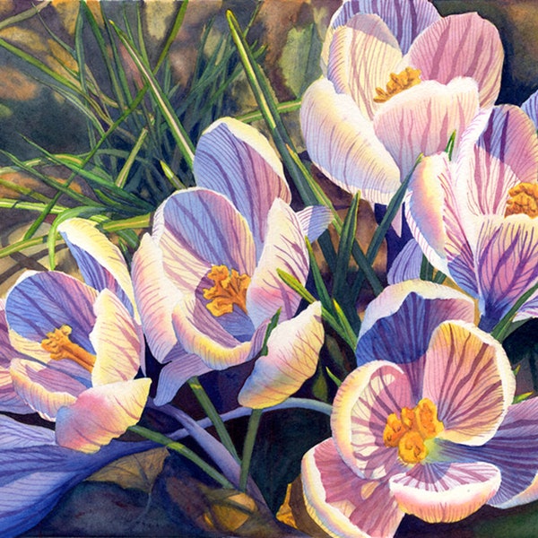 Watercolor Crocus - Etsy