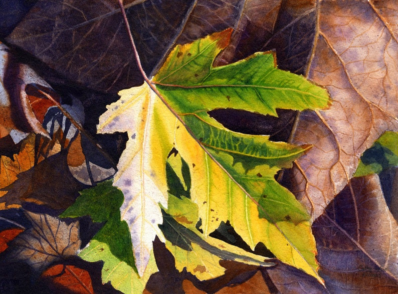 Yellow Leaf Art Watercolor Painting Print by Cathy Hillegas - Etsy