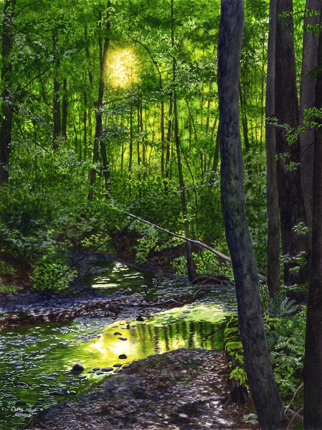 Forest Creek Watercolor Painting Print by Cathy Hillegas, Peaceful Art, Sunlight Through the ...