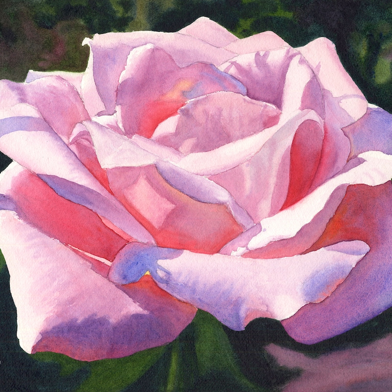 Roses Watercolor - Etsy