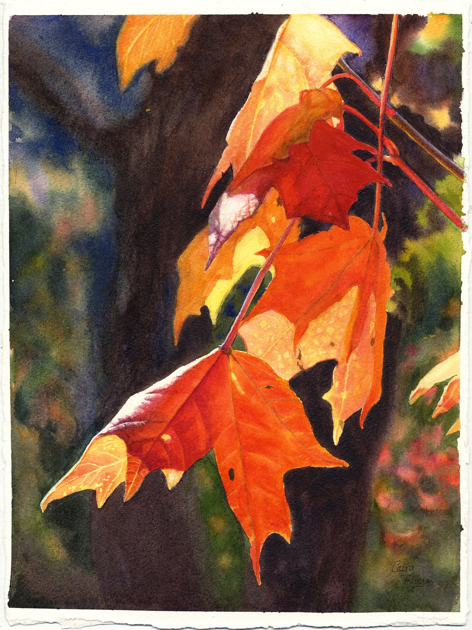Red Yellow Orange Autumn Leaves Watercolor Painting Print by Cathy ...