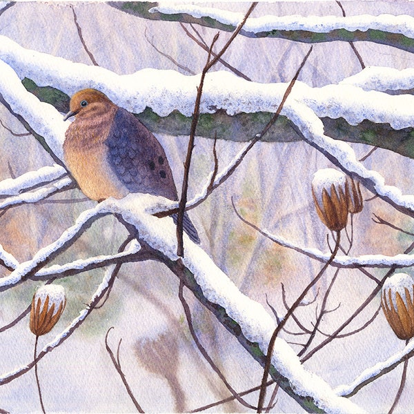 Mourning Dove - Etsy