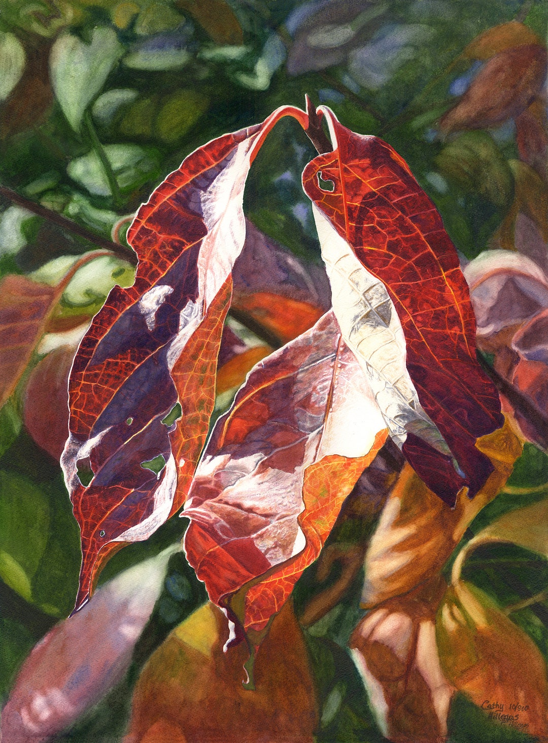 Red Autumn Leaves Watercolor Painting Print by Cathy Hillegas, 8x10 ...