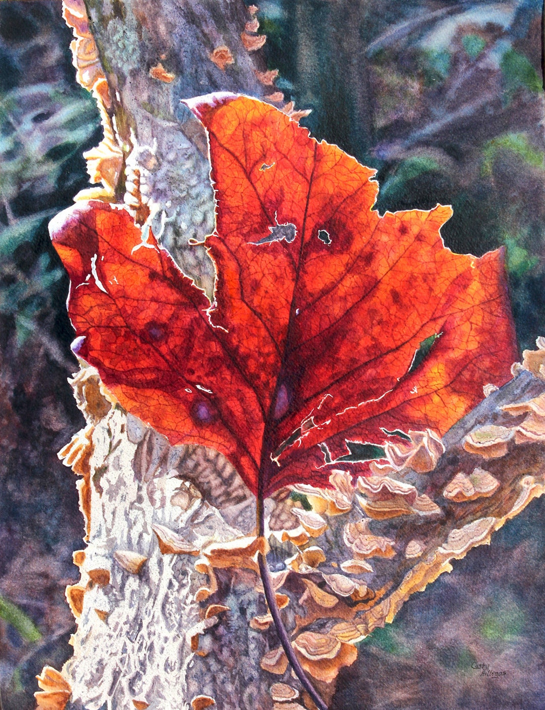 Red Autumn Leaf Watercolor Painting Print by Cathy Hillegas, 11x14 ...