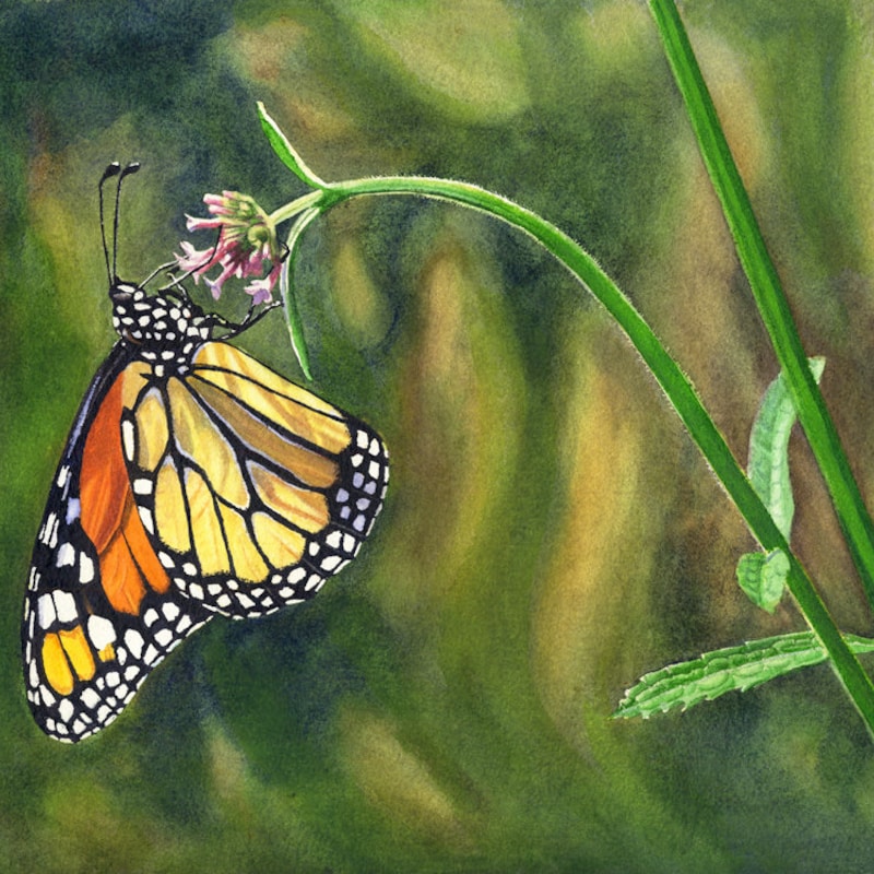 Cathy Hillegas - Etsy