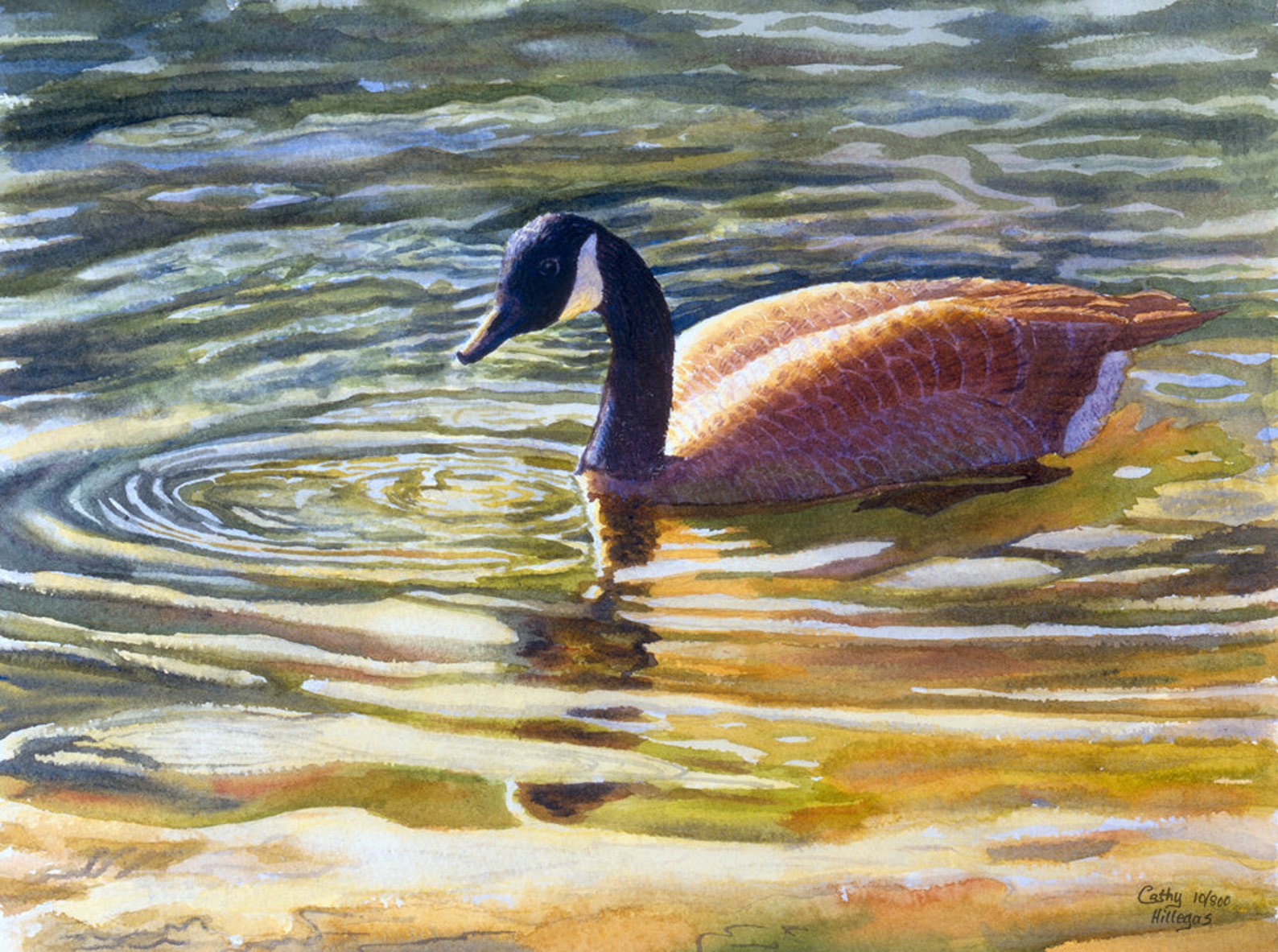 Canada Goose Art Watercolor Painting Print by Cathy Hillegas, 12x16 ...