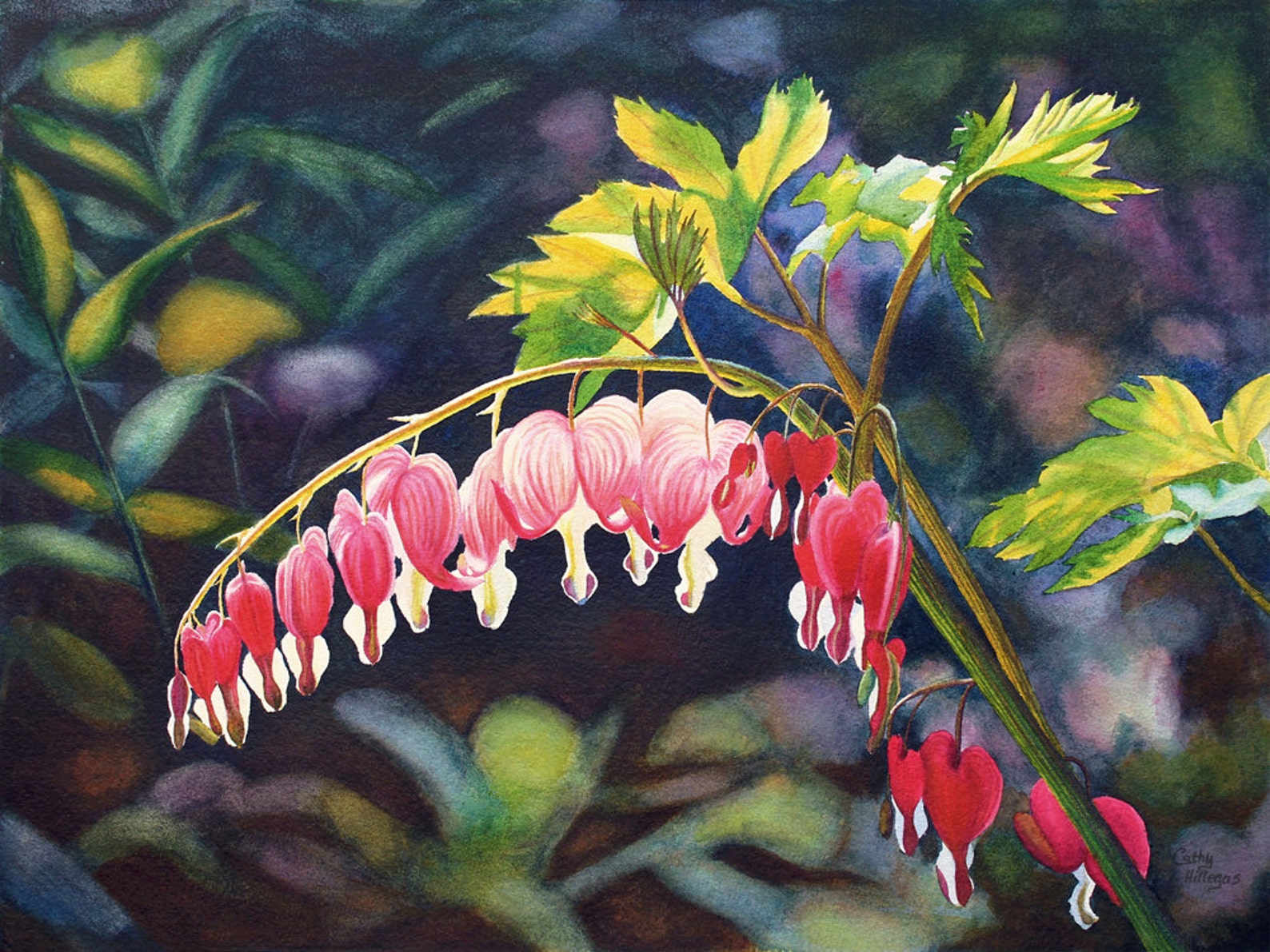 Bleeding Heart Art Watercolor Painting Print by Cathy | Etsy