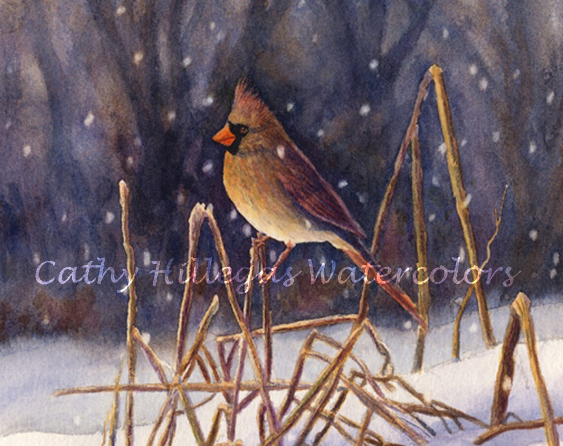 Cardinal Art Watercolor Painting Print by Cathy Hillegas, 8x10 Bird ...