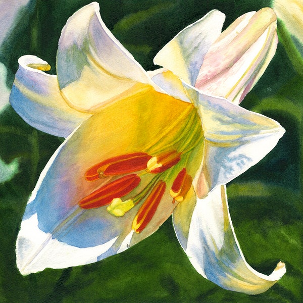 Cathy Hillegas - Etsy