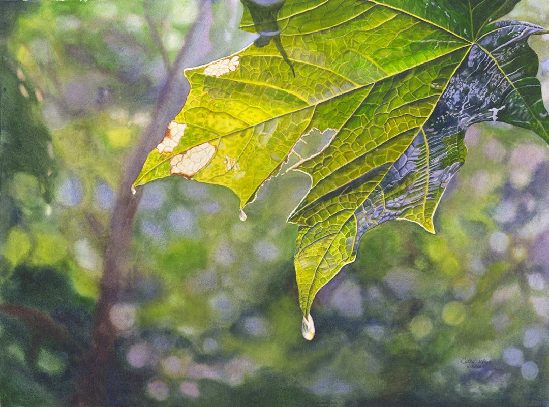 Maple Leaf Art Watercolor Painting Print by Cathy Hillegas, 12x16 ...