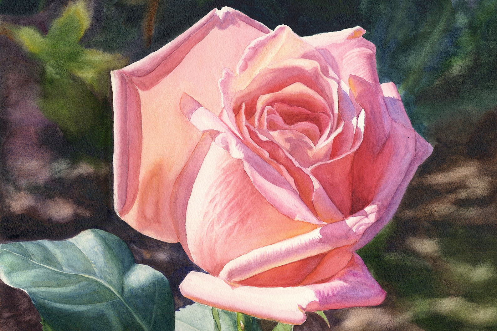 Peach Pink Rose Watercolor Painting Print by Cathy Hillegas - Etsy