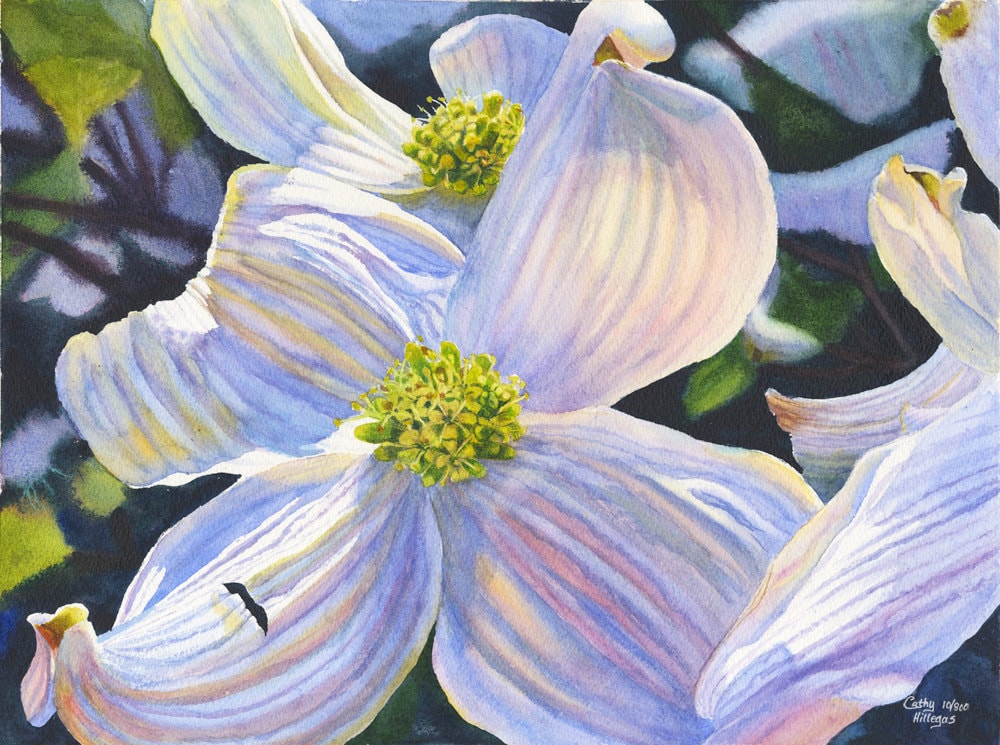 Dogwood Flower Painting
