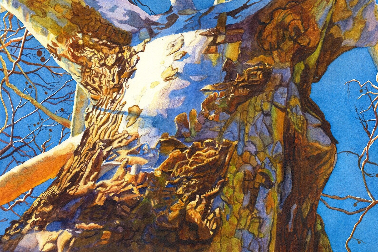 Sycamore Tree Watercolor Painting Print by Cathy Hillegas | Etsy