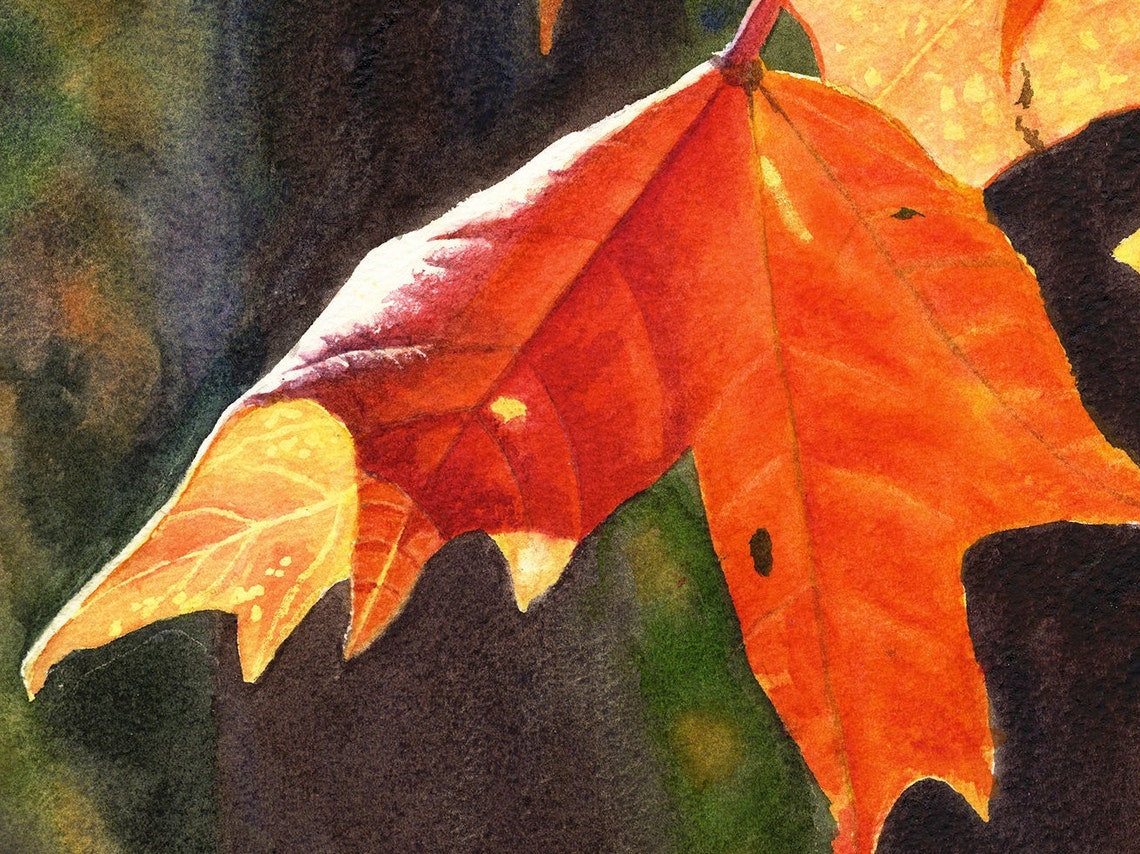 Red Yellow Orange Autumn Leaves Watercolor Painting Print by Cathy ...