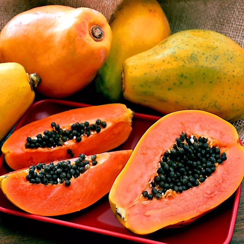 Dwarf Hawaiian Sunrise Strawberry Papaya Seeds: Tropical Fruit Tree - Etsy