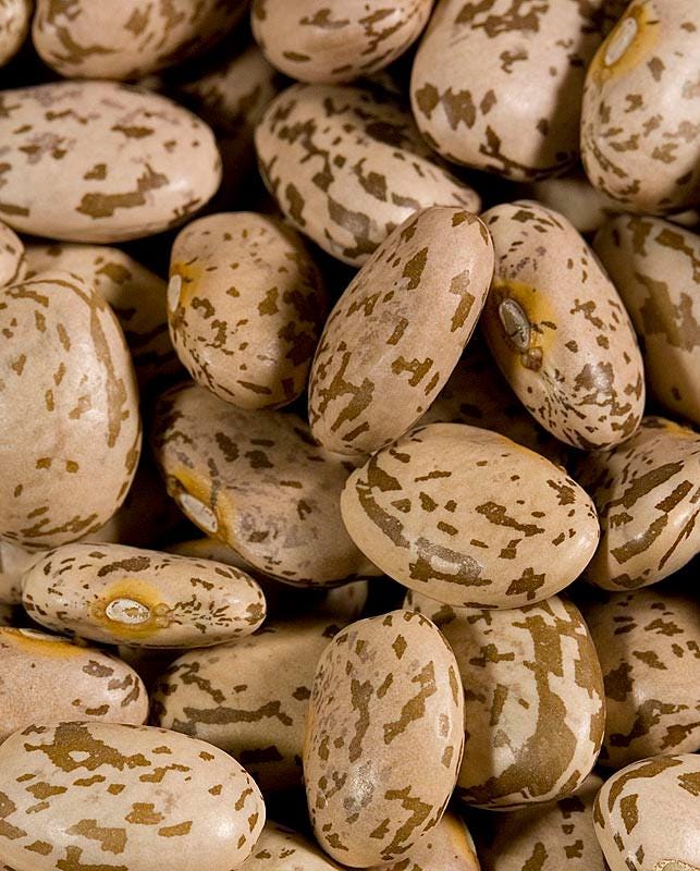 Organic Pinto Beans by Food to Live, Sproutable, Non-gmo, Kosher, Raw ...