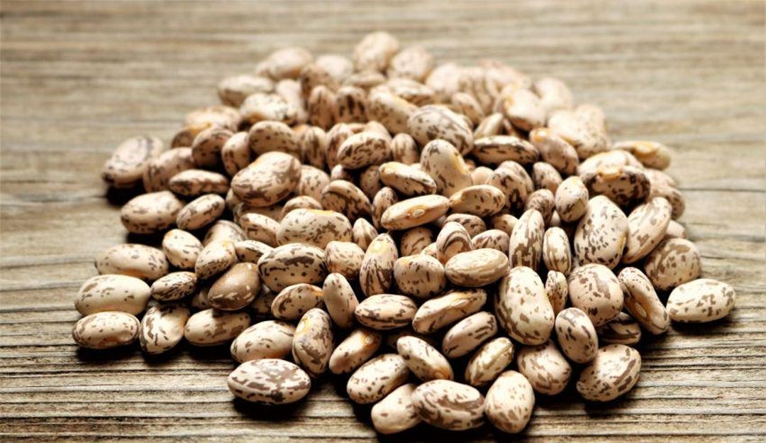 Organic Pinto Beans by Food to Live, Sproutable, Non-gmo, Kosher, Raw ...