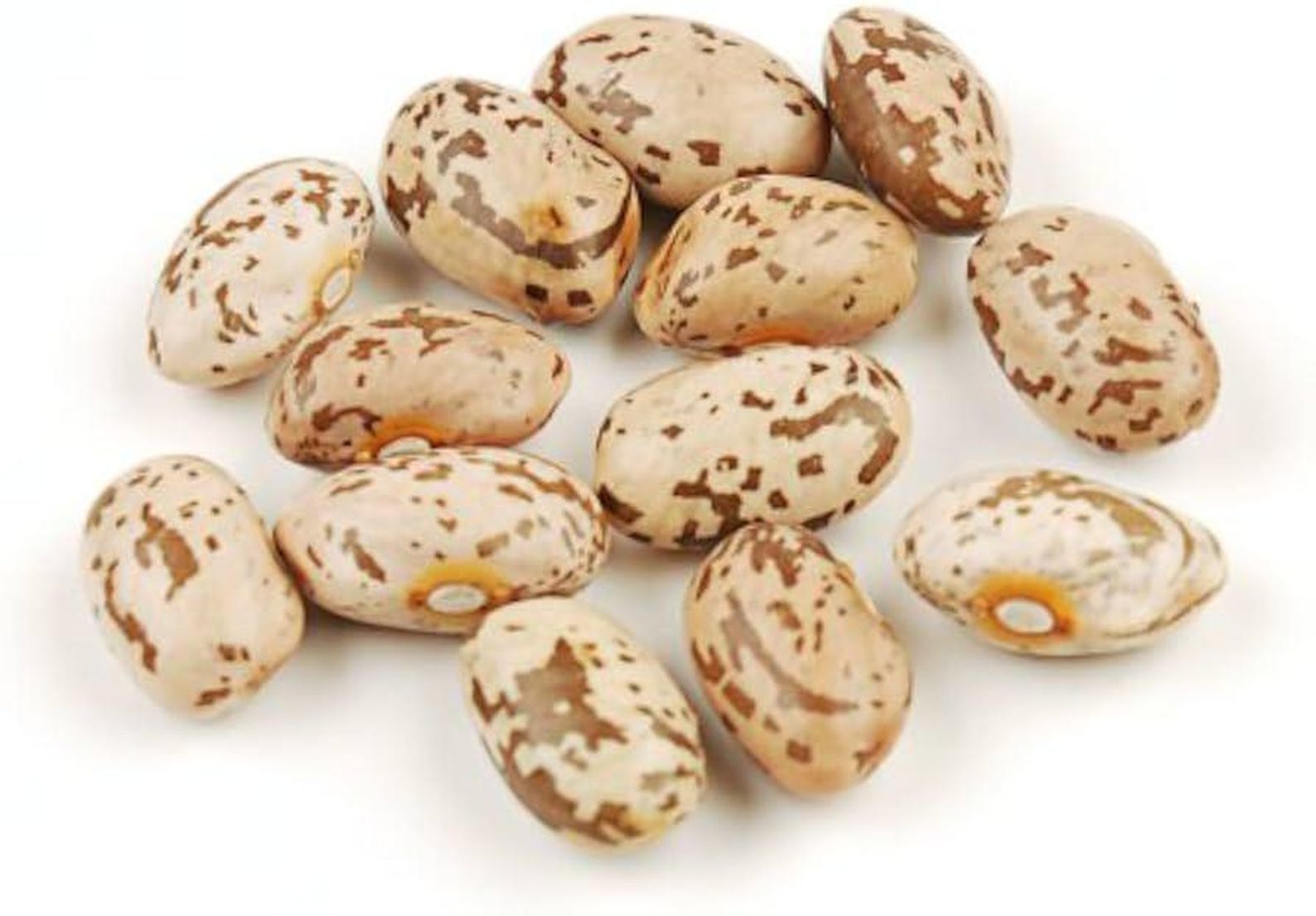 Organic Pinto Beans by Food to Live, Sproutable, Non-gmo, Kosher, Raw ...