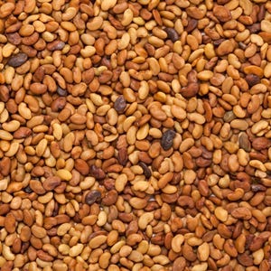 Organic Alfalfa Seeds for Sprouting Non-gmo, Sproutable, Food to Live ...