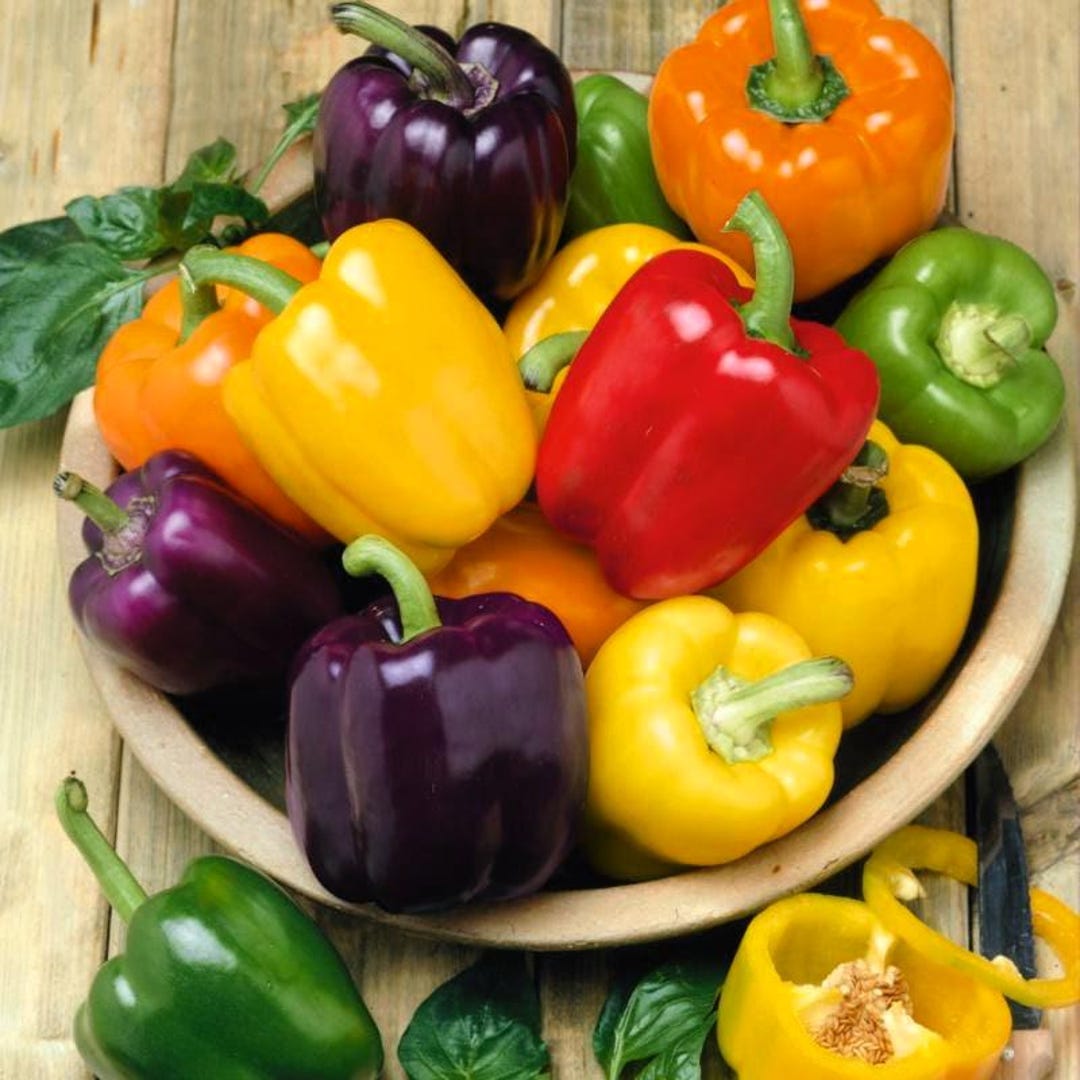 Bell Pepper Seeds Rainbow Mix, Capsicum Anuum, NON-GMO Seeds, Vegetable ...