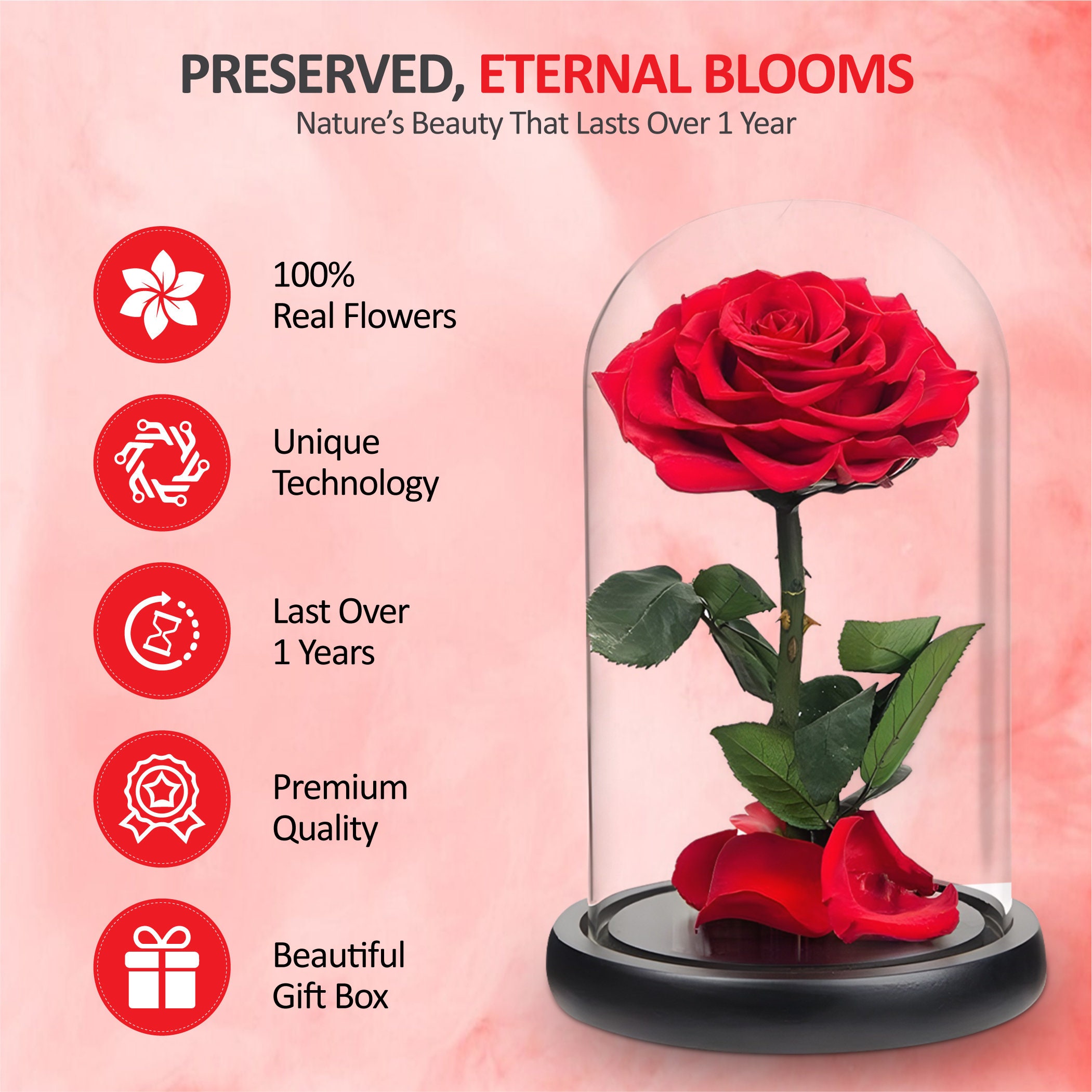 Preserved Rose in Glass Dome Eternal Enchanted Forever - Infinity Rose ...