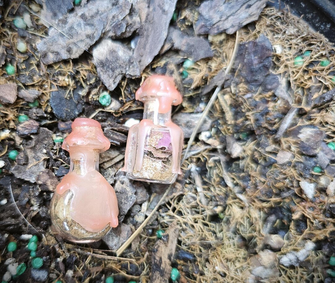 Mini Spell Jars, Self Love Spell, Courage Spell, Success Spell, Witch ...