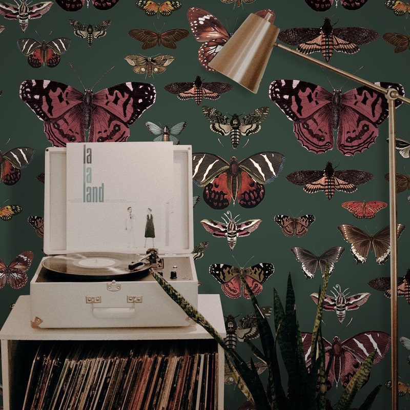 Moth Wallpaper - Etsy