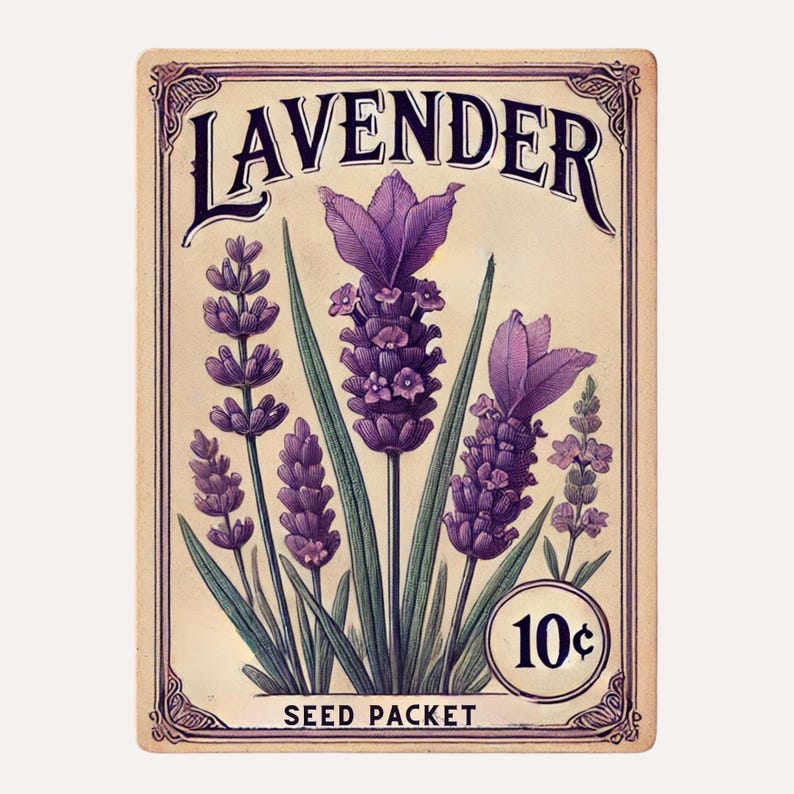 Vintage Flower Seed Packet Clipart, Printable Watercolor for ...