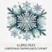 Christmas Snowflakes Clipart | 12 JPEG Files | Snowflake Illustrations ...