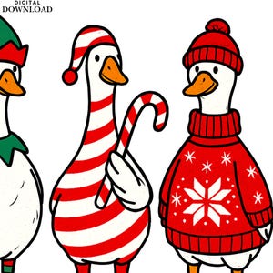 Christmas Goose PNG: Funny Holiday Farmhouse Clipart (digital Download ...