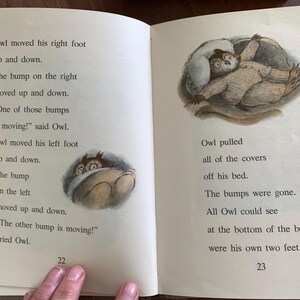 ARNOLD LOBEL, Owl at Home, Vintage Childrens Book, Harper &row - Etsy