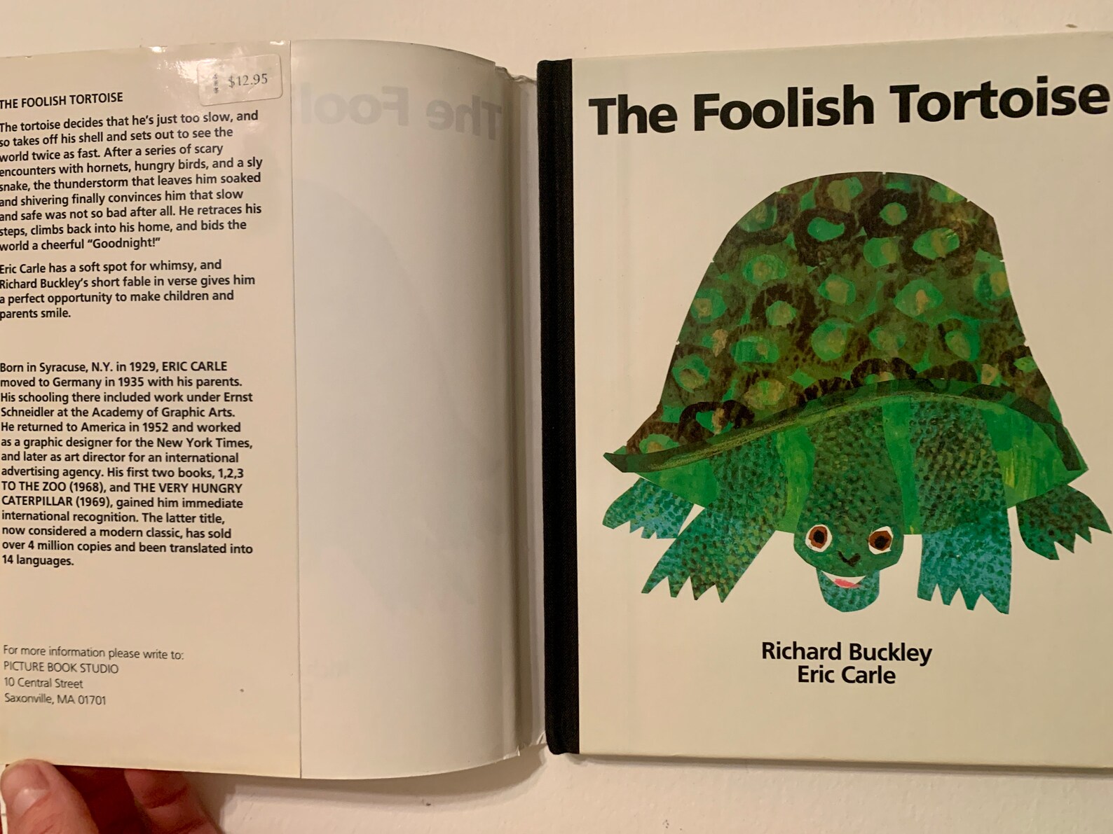 Upside Down Book the Greedy Python and the Foolish Tortoise | Etsy