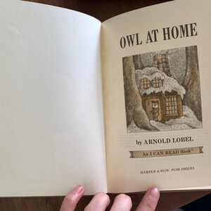 ARNOLD LOBEL, Owl at Home, Vintage Childrens Book, Harper &row - Etsy