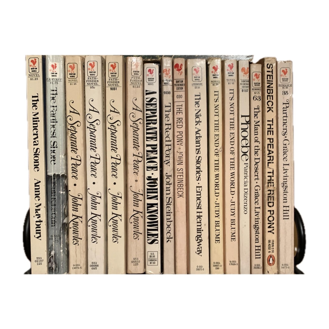 Vintage 1970s Bantam Paperbacks: Literary Classics - Etsy