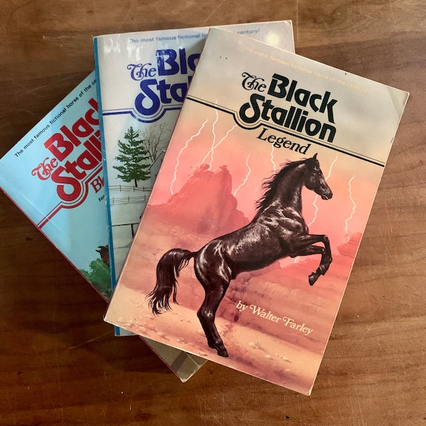 Black Stallion - Etsy