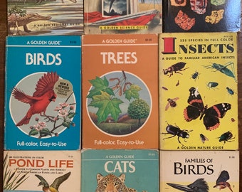 Mini Golden Books - Etsy