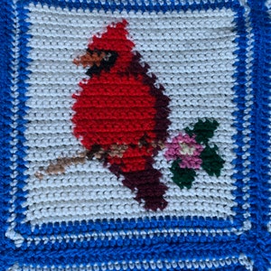 Vintage Songbird Crochet Afghan, Throw, Home Decor, Retro , Birds ...