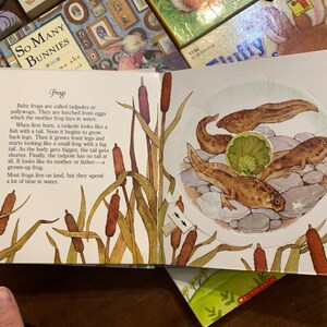 Vintage Easter/bunnies Board Book Collection, Nine Childrens Books ...