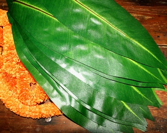 Ti Leaves | Etsy