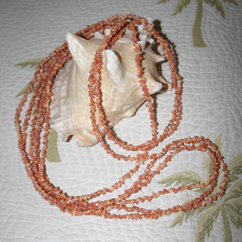 Kahelelani Shells - Etsy