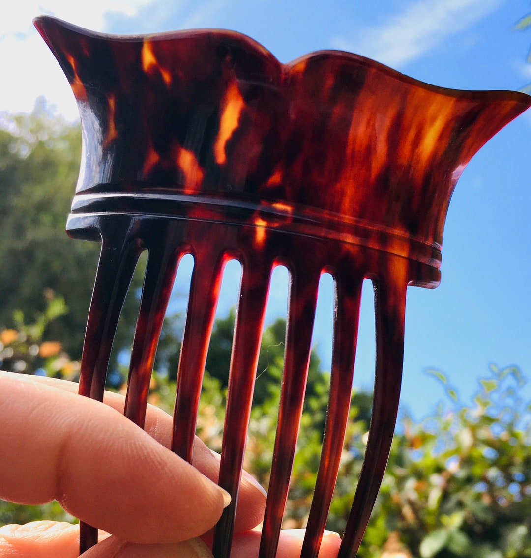 Translucent Shell Hair Comb Small Antique | Fine Victorian Hair ...