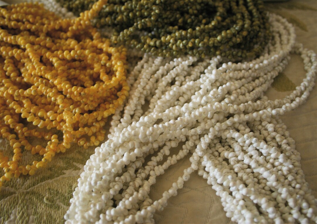 Half Dozen Mongo Shell Strands for Beautiful Tahitian Lei ~ White ...