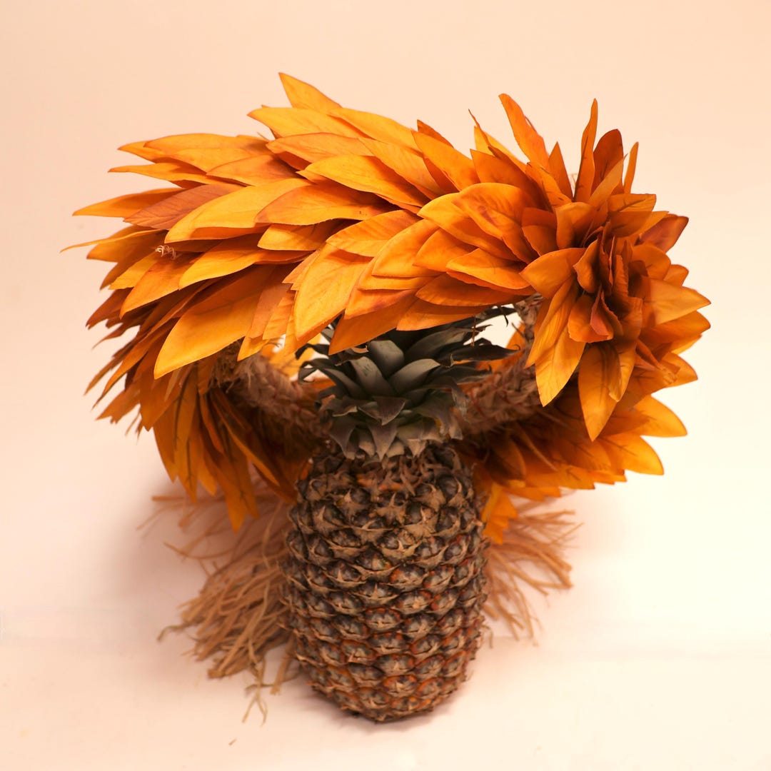 Haku Hawaiian for Kane & Other Big Kahuna Traditional Hand Tied Native ...