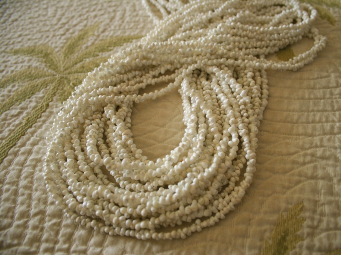 10 Strands Of 60 Mongo Shells For Beautiful Tahitian Lei | Etsy