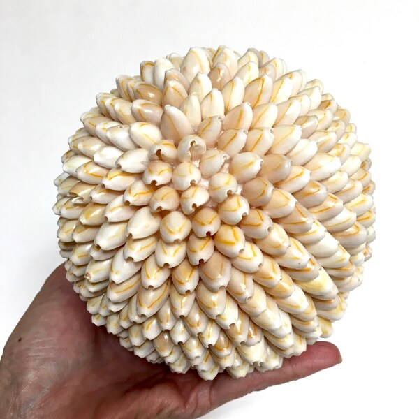 Oyster Shell Ball - Etsy