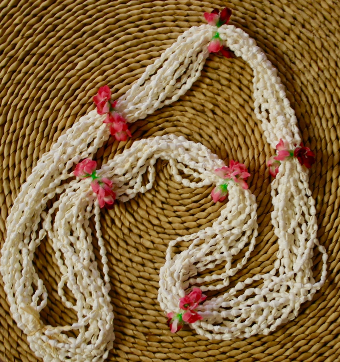 Natural White Nassa Shell Lei ~ 12 Strands With Their Own Little ...