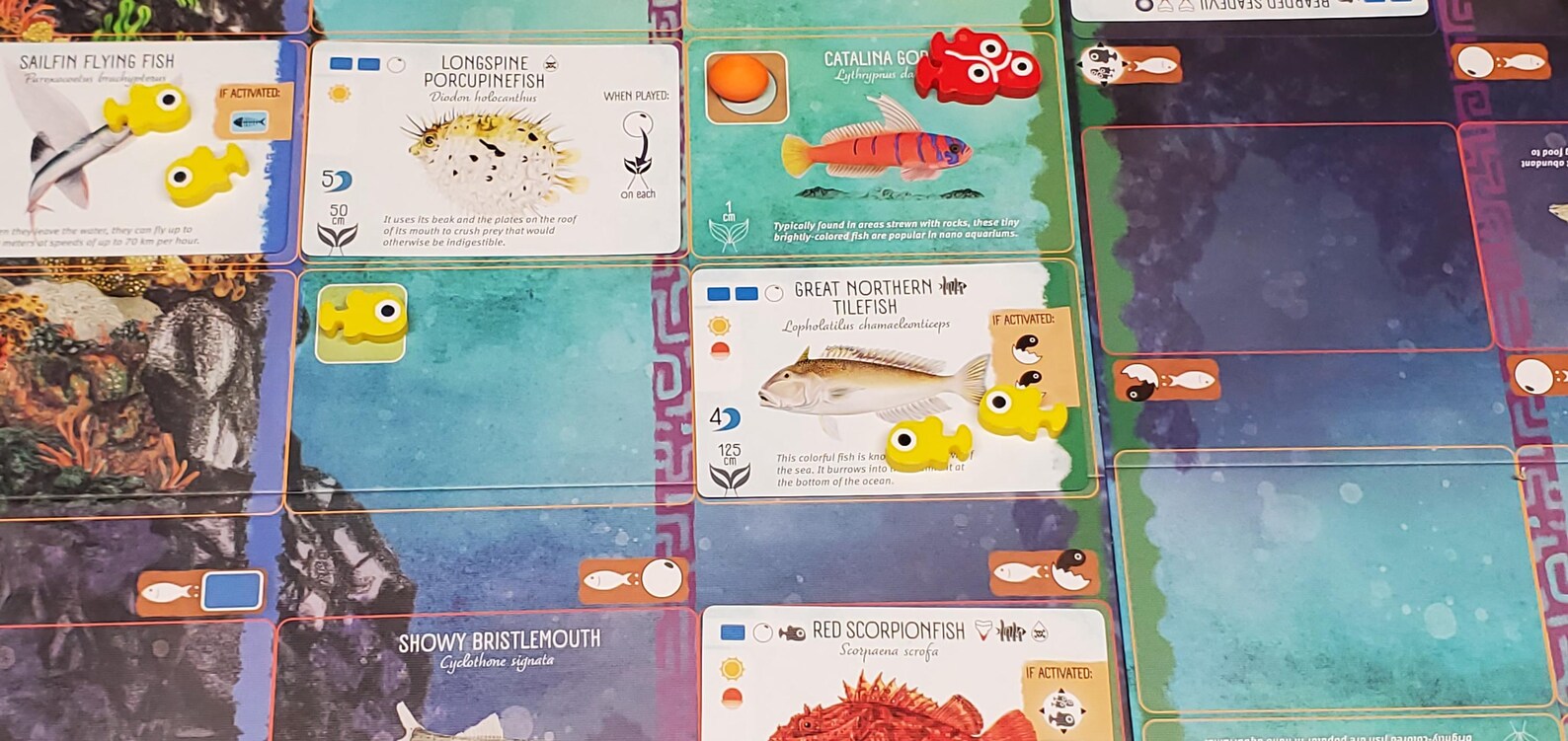 Finspan Deluxe Fish and Egg Pieces Tokens - Etsy