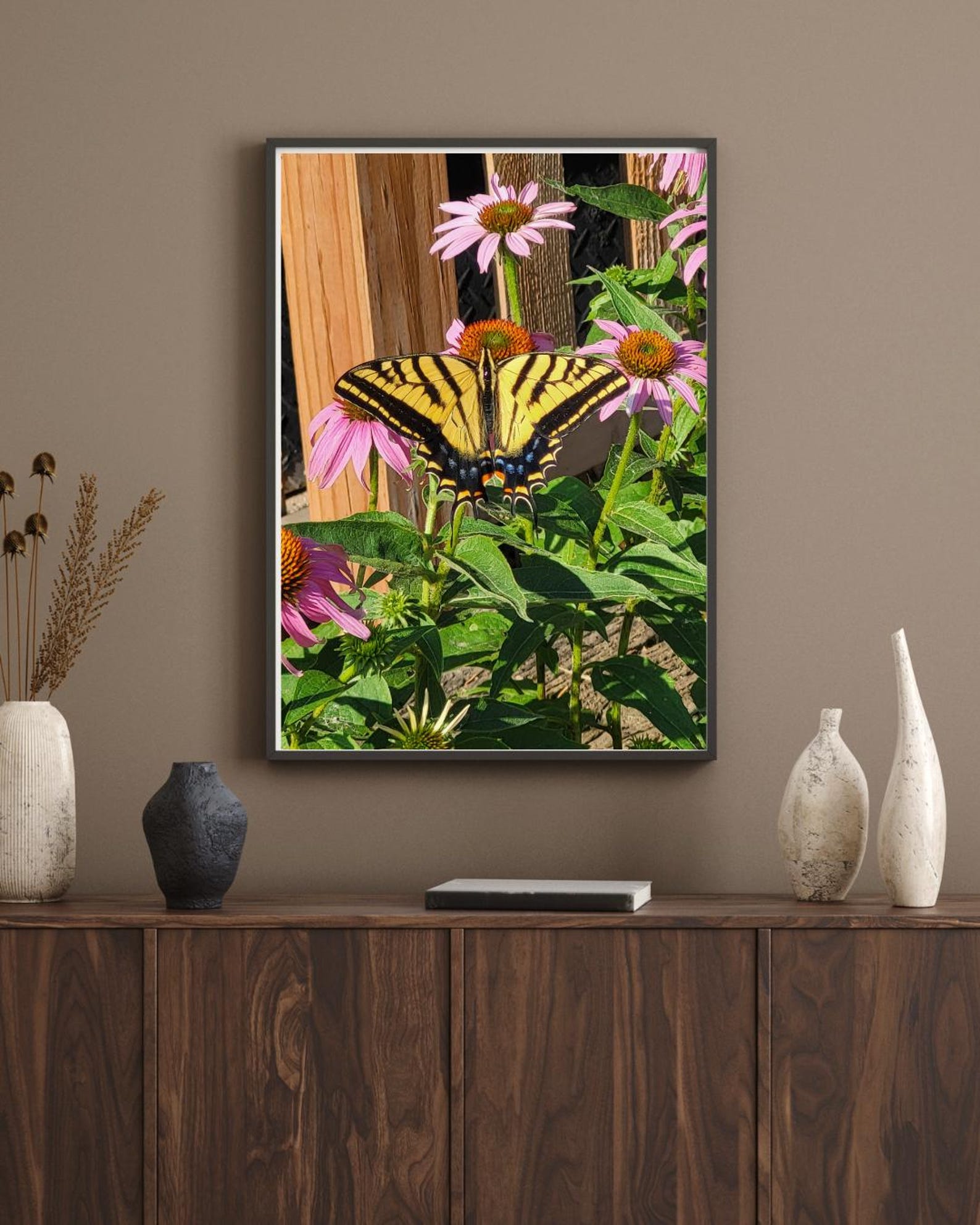 Monarch Butterfly on Cone Flowers - Etsy